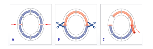 Donjoy Quick Fit Hinged Knee Brace - KneeSupports.com